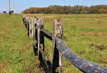 Fence Disputes & Adverse Possession & Washington DC
