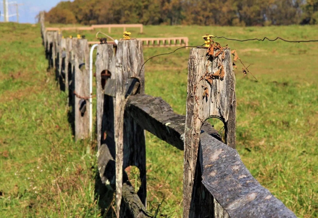 Fence Disputes & Adverse Possession & Washington DC